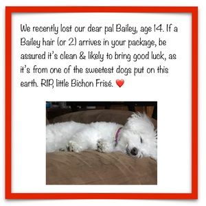 Zara Collections | Tops | Zara Leopard Print Fitted Top M Nwt | Poshmark